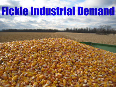 The Fickle Nature of Industrial Grain Demand – Philip Shaw